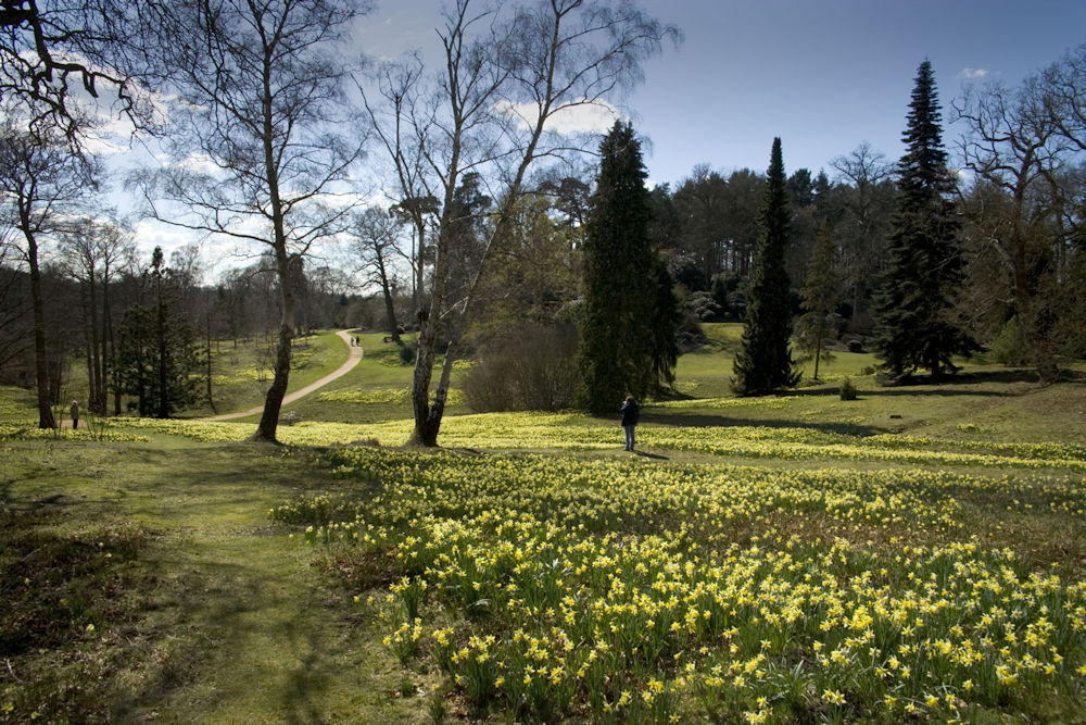 Easter in Windsor & Maidenhead | Family-Friendly Events, Top ...
