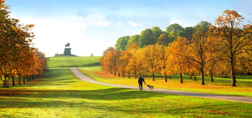 Discover the five best walks near Windsor for autumn highlights
