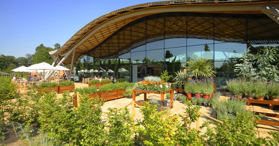 The Savill Garden - Visit Windsor