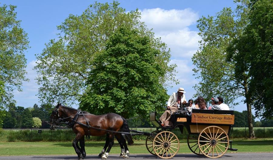 Windsor Carriages - Windsor